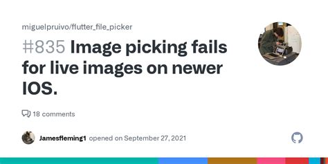 Image Picking Fails For Live Images On Newer IOS Issue Miguelpruivo Flutter File