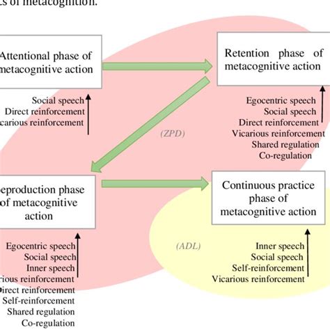 Social Elements For Individual Metacognition Download Scientific Diagram
