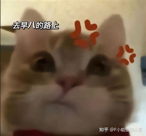 可爱搞怪的小猫 歪嘴小猫沙雕表情包 知乎