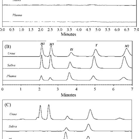 Chromatograms Of Tramadol T And Its Metabolites M1 M2 M5 And Download Scientific