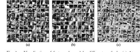 figure 1 from convolution structure sparse coding for fusion of