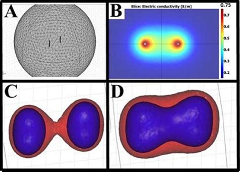 numerical simulation results a numerical model setup where two