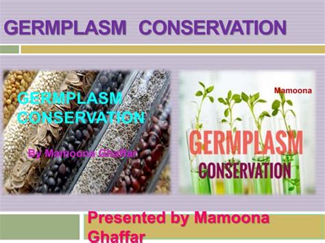 Plant Exploration Germplasm Collection Conservation And Utilization Pptx