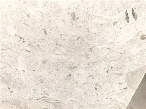 Customized Seashell Limestone Manufacturers Suppliers Factory