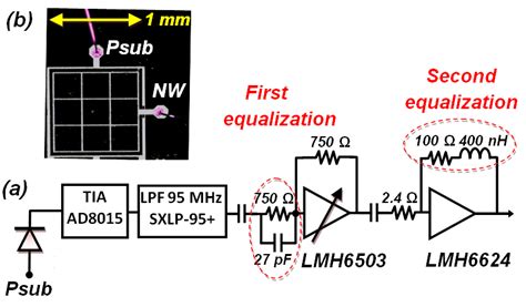 A Block Diagram Of The Full Receiver Depicting The Dual Equalization Download Scientific