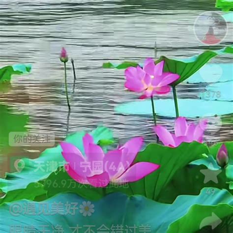 动脉出现粥样硬化，要怎么办，如何治疗呢？ · 科普中国网