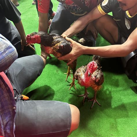 ซุ้ม Ntj ฟาร์ม Lat Ya