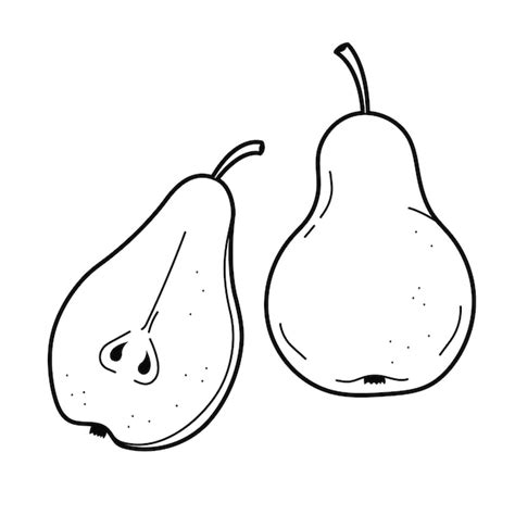 Premium Vector Fruits Pear Outline Illustration Design Element