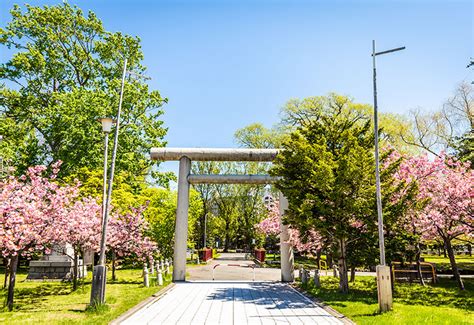 札幌護国神社国生みと国護りの神の社札幌のおすすめ観光レジャースポットなら旅色
