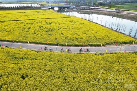 安徽六安：踏青赏花 乐享春光 人民图片网