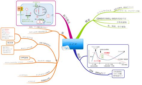 後天性免疫不全症候群（エイズ）を簡単に解説【薬剤師国家試験】 マインドマップ薬学