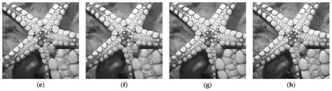 NGDCNet Noise Gating Dynamic Convolutional Network For Image Denoising