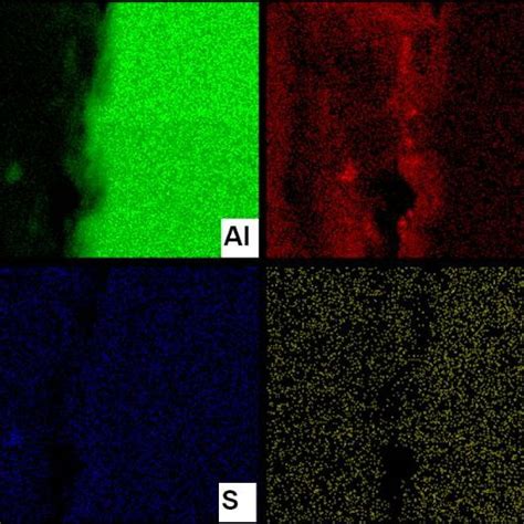 Cross Sectional Morphologies Of The Naked Samples Of After One Year
