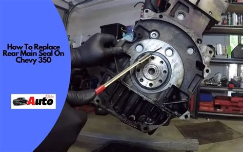 How To Replace Rear Main Seal On Chevy 53 At Madeline Mair Blog
