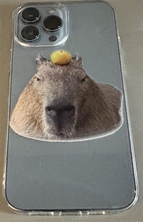 Rate My Case R Capybara
