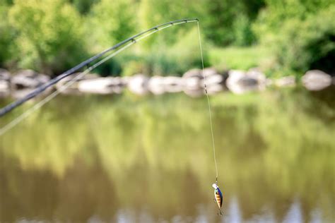 The Science Of Fishing Understanding Fish Behavior And How To Use It