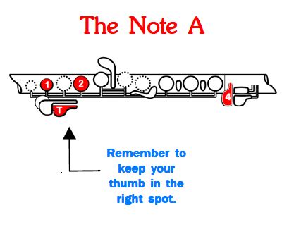 Let S Play Flute Andrew Scott Music