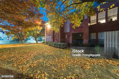 아파트의 화려한 뒷마당이을 시즌 근처에 달라스 텍사스 미국 밤 하루 시간대에 대한 스톡 사진 및 기타 이미지 밤 하루 시간대