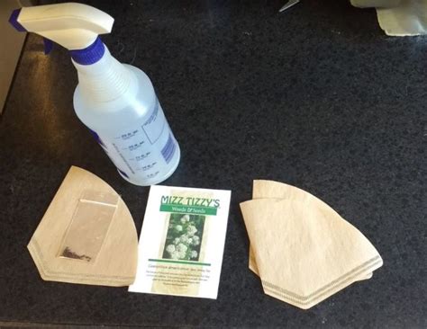 Seed Stratification A Comprehensive Guide To This Seed Germination Trick