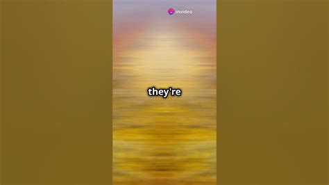 The Hidden Lives Of Brazils Gold Mine Sex Workers Brazil Goldmines Humanrights Amazon News