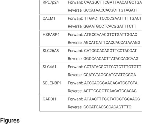 DNA Sequences Of The Primers Used In This Study Name DNA Sequences Of Download Scientific