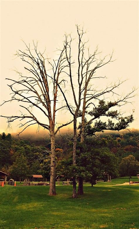 Road Trip To Ohio Snacks Sleep Stops And Stories Simply Taralynn