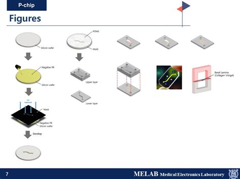 Progress Seminar ~ Ji Soo Lee Ppt Download