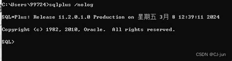 创建oracle数据库并且解决ora 01031 Insufficient Privileges权限不足问题 Csdn博客