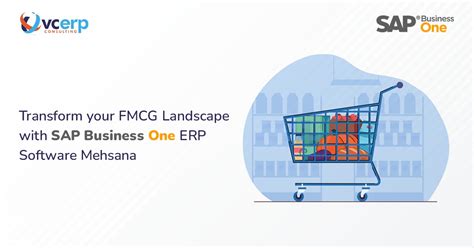 Revolutionize Fmcg Business In Mehsana With Sap Business One Erp