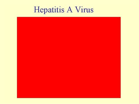 Hepatitis AE Viruses An Overview Viral Hepatitis Historical
