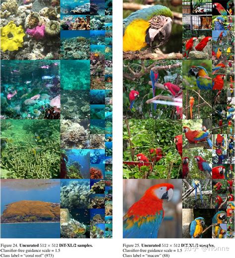 【论文精读】diffusion Transformer（dit） 知乎