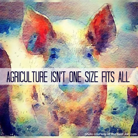 Agriculture Isnt One Size Fits All Prairie Californian