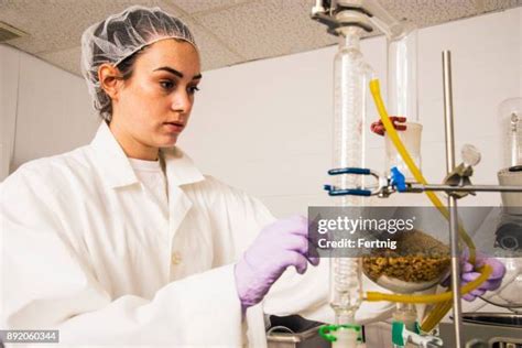 2,431 Cosmetics Lab Stock Photos, High-Res Pictures, and Images - Getty ...