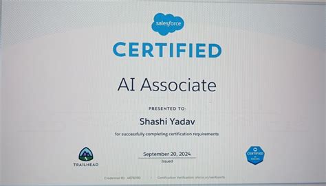 Shashi Yadav On Linkedin Initial Steps For Empowering Salesforce Crm