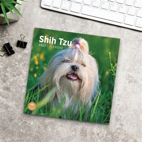 2023 Shih Tzu Wall Calendar By Bright Day 12x12 Inch Etsy