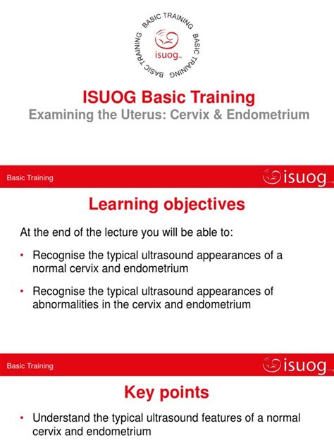 examination of uterus and cervix isuog lecture cusp 2018 pdf main pdf