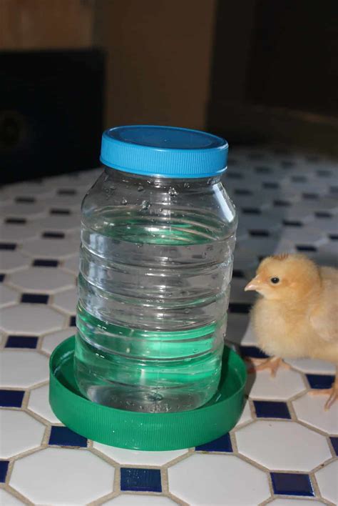 27 DIY Chicken Feeder Ideas You Can DIY This Weekend