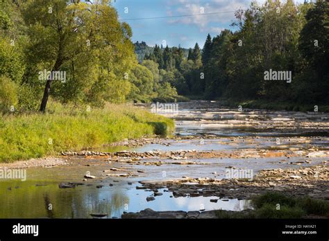 San River And Wolosaty Stream Junction In Summer Landscape Bieszczady