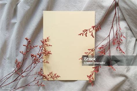 빈 인사말 카드 초대장 및 봉투 모형 마른 꽃과 가지로 만든 최소한의 꽃 프레임 플랫 레이 평면도 해피 어머니의 날 여성의 날 또는 생일 결혼식 구성 결혼식에 대한 스톡