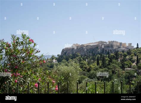 The Acropolis Of Athens Athens Greece With Trees And Plants In The