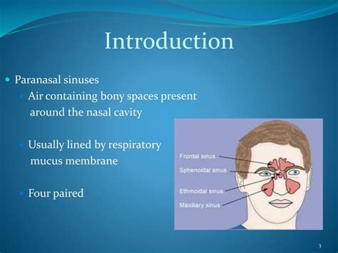 Disorders Of Maxillary Sinus Pptx