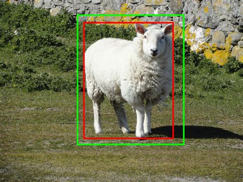 Demonstration Of Tight Red Color And Loose Green Color Bounding