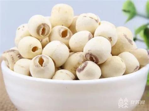 处暑养生 滋阴润燥是关键我苏网