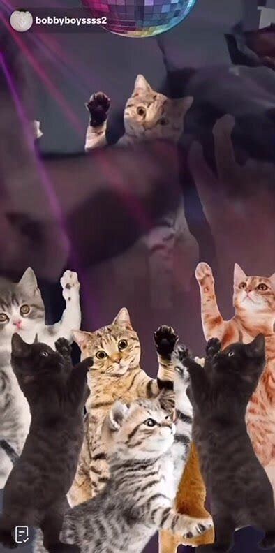 Tiktok Live Leaks 46