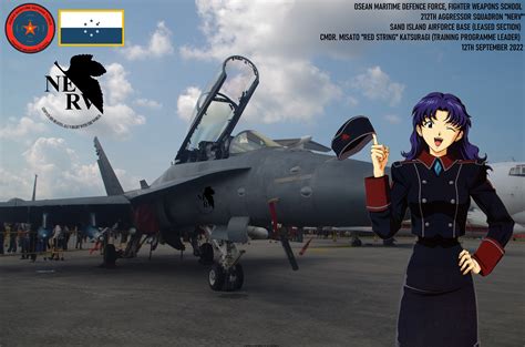 [album] Ace Combat X Waifus Various Series R Gunime