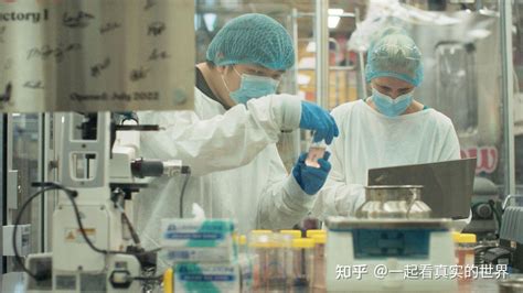 含有猛犸象dna的人造肉丸 知乎