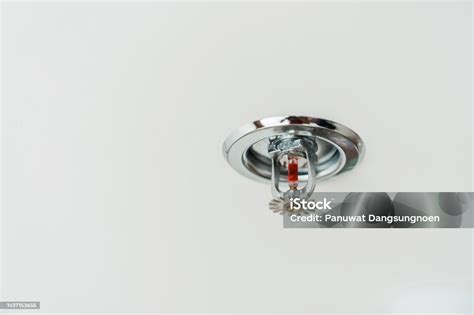 집이나 아파트의 지붕에 장착 된 화재 스프링클러 감지기 안전 및 화재 보안 개념 천장에 대한 스톡 사진 및 기타 이미지 천장 스프링클러 0명 Istock