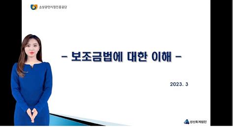보조금법에 대한 이해 Youtube