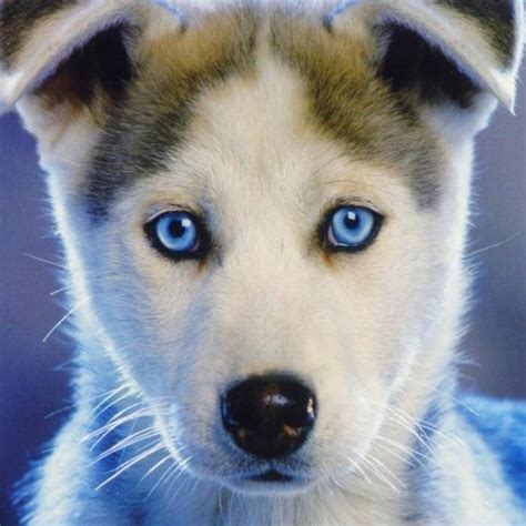 ჩვენი მეგობრები