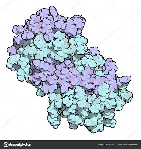 Interleukin Cytokine Protein Monoclonal Antibody Mepolizumab Used